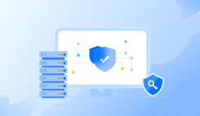 The Ultimate Guide to Secure Proxy Browsers